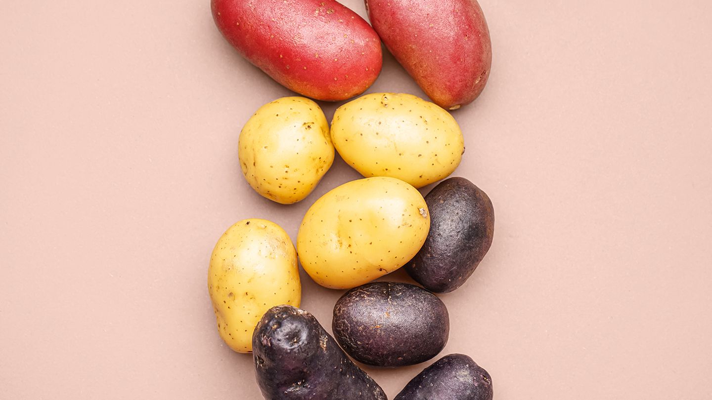Potatoes 101: A Complete Guide From Read Healthy Tips